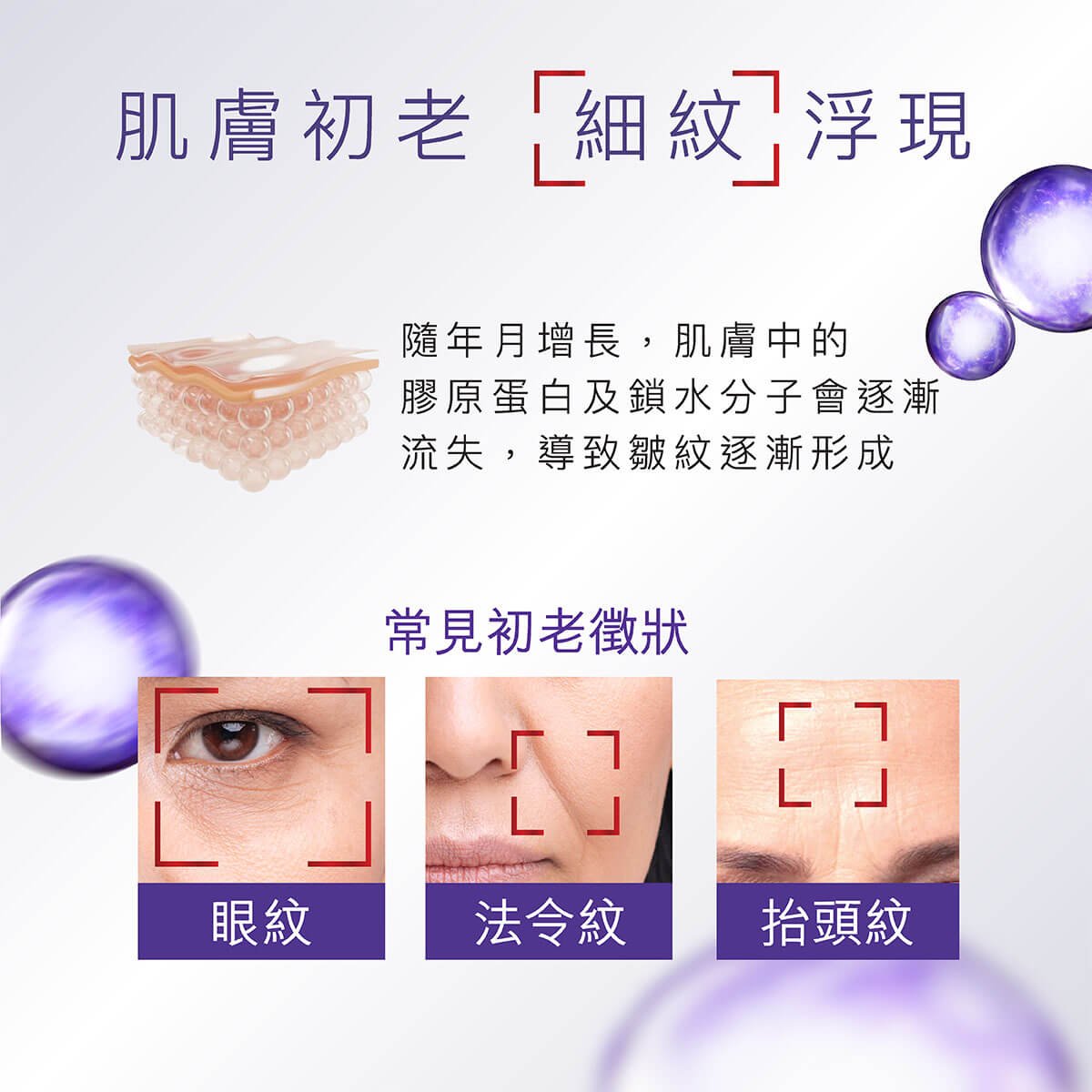 活力緊緻系列 皮膚護理 活力緊緻 透明質酸 紫熨斗全臉撫紋霜 冰感按摩頭版 Loréal Paris